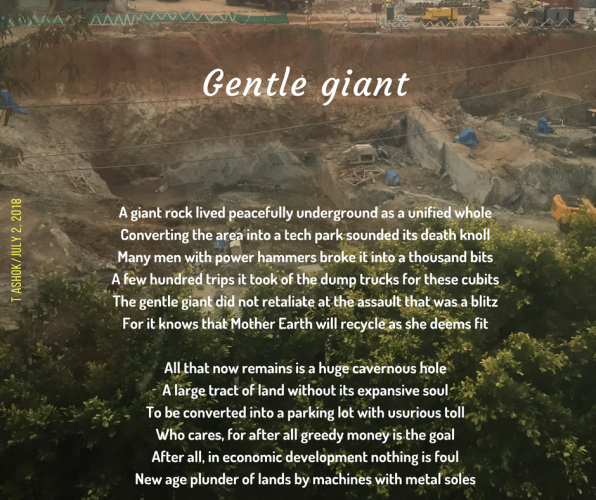 Gentle giant | Ashok Thiruvengadam