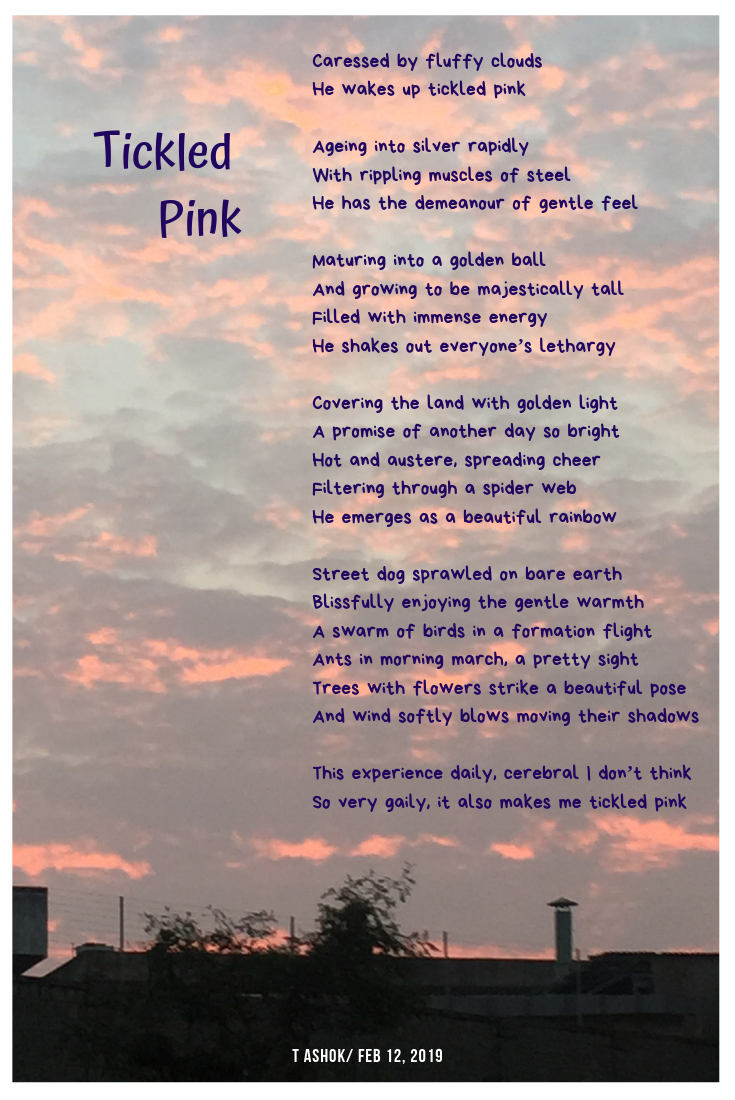 Tickled pink | Ashok Thiruvengadam